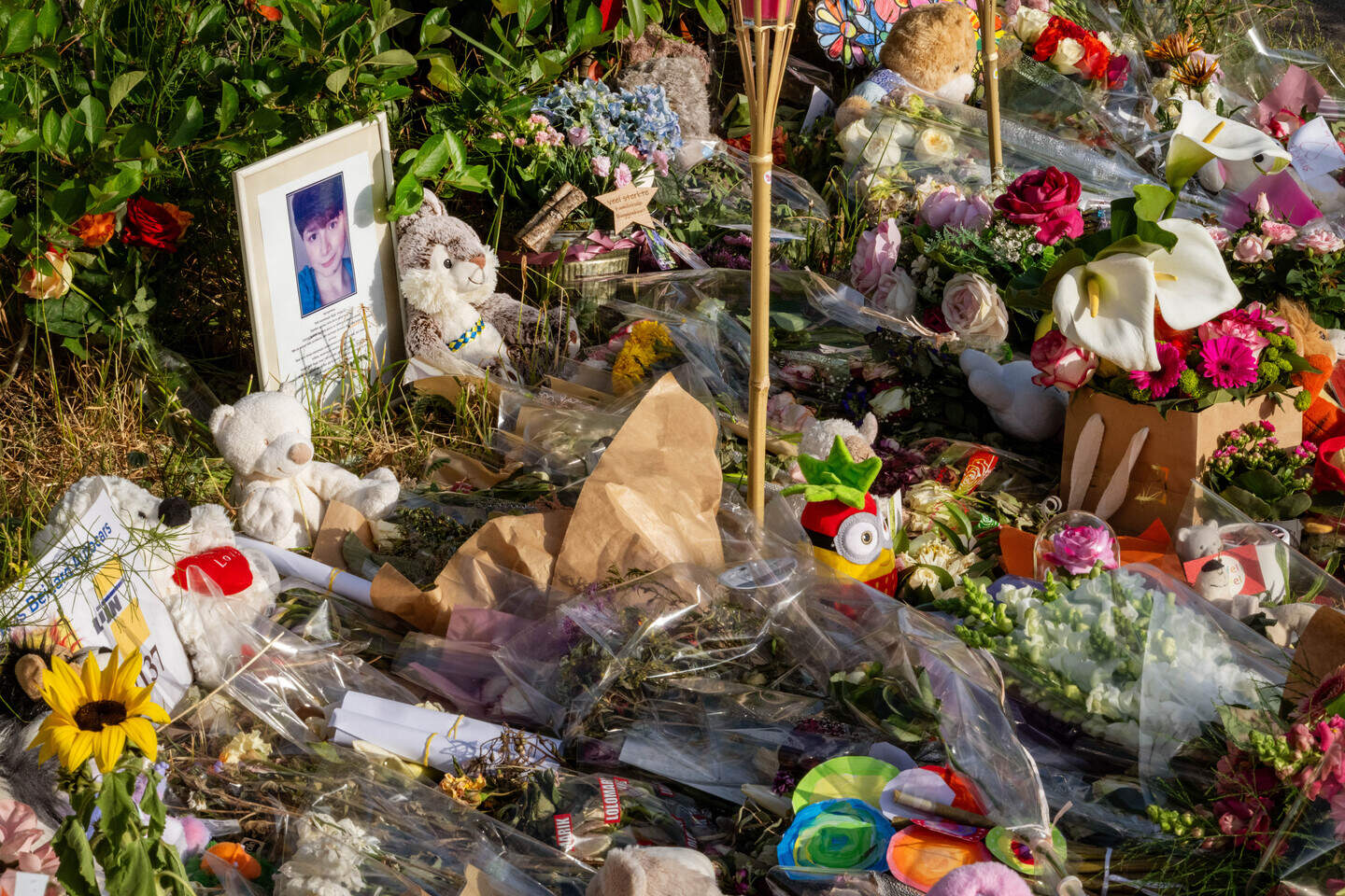 Al vóór dodelijk drama meerdere klachten over buschauffeur: “Een ...