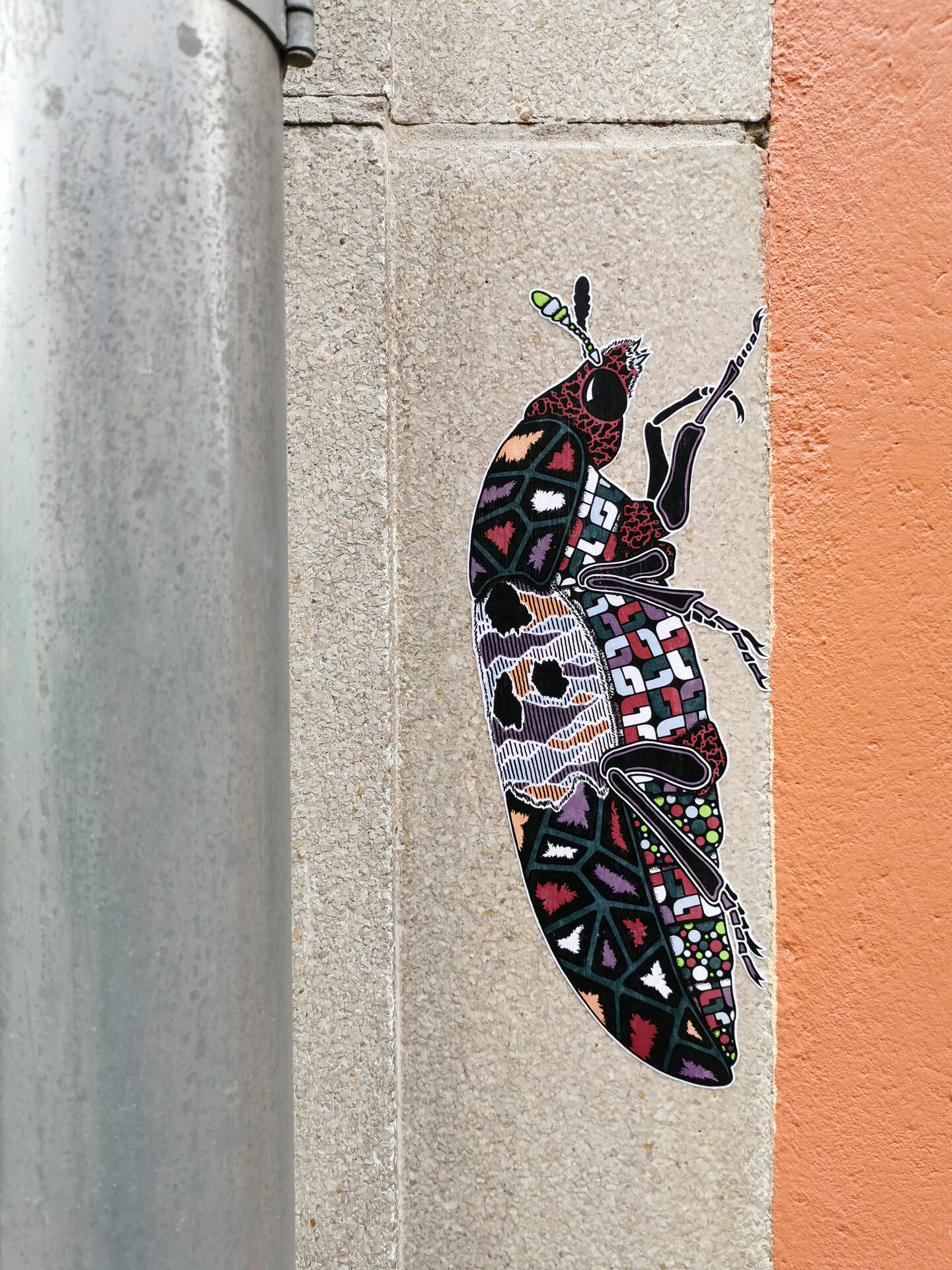 Hij liet al duizenden insecten achter in het straatbeeld, maar ...