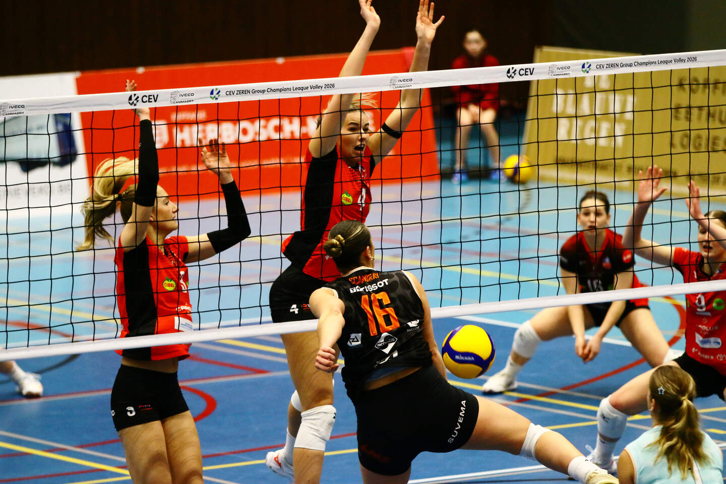 Asterix Avo begint als topfavoriet aan titelfinale tegen Roeselare ...