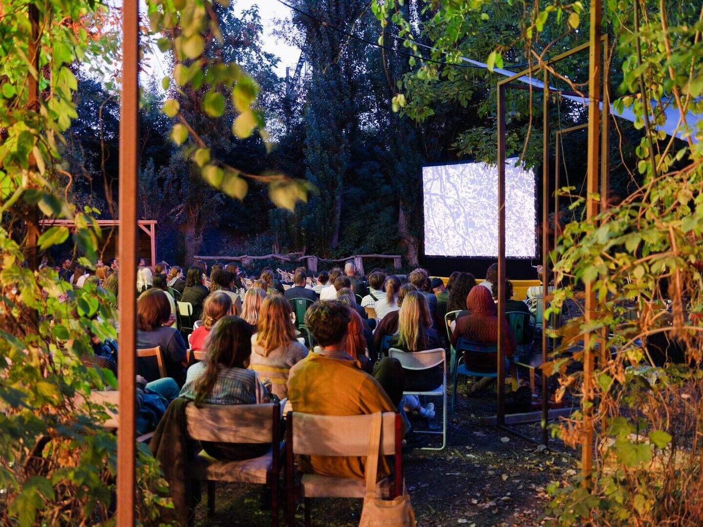 In deze openluchtcinema kies je zelf hoeveel je betaalt: “We hebben een ...