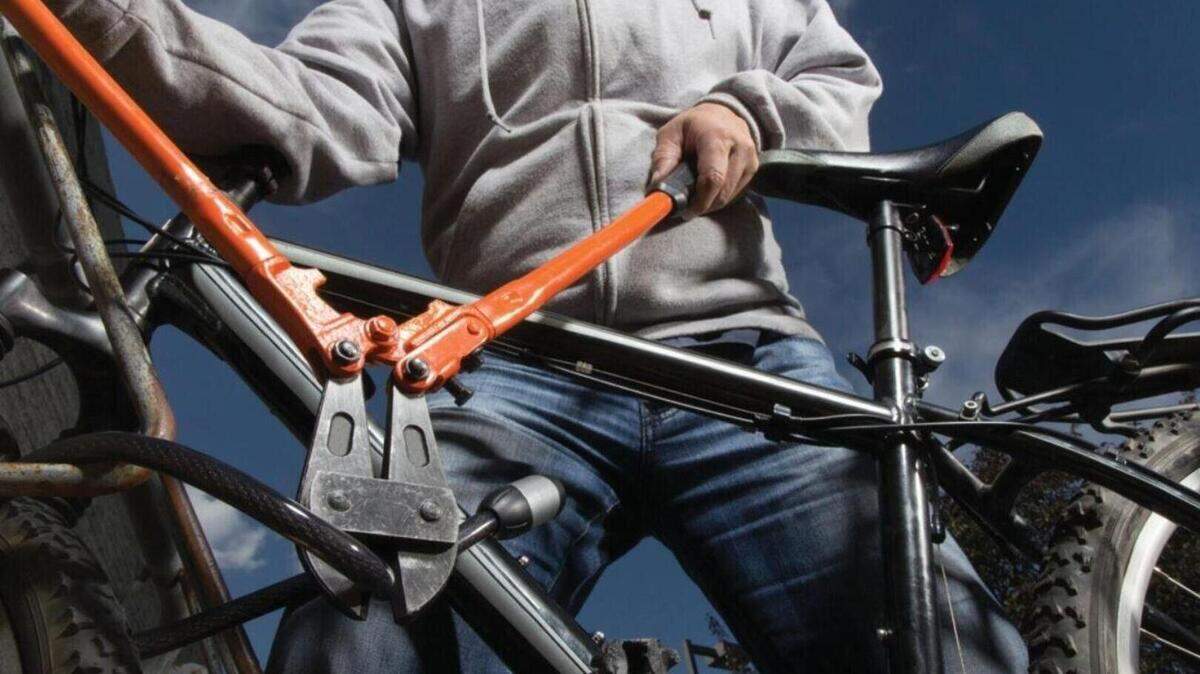 Politie betrapt rondtrekkende dieven: “Fietsen, e-step en auto gestolen ...
