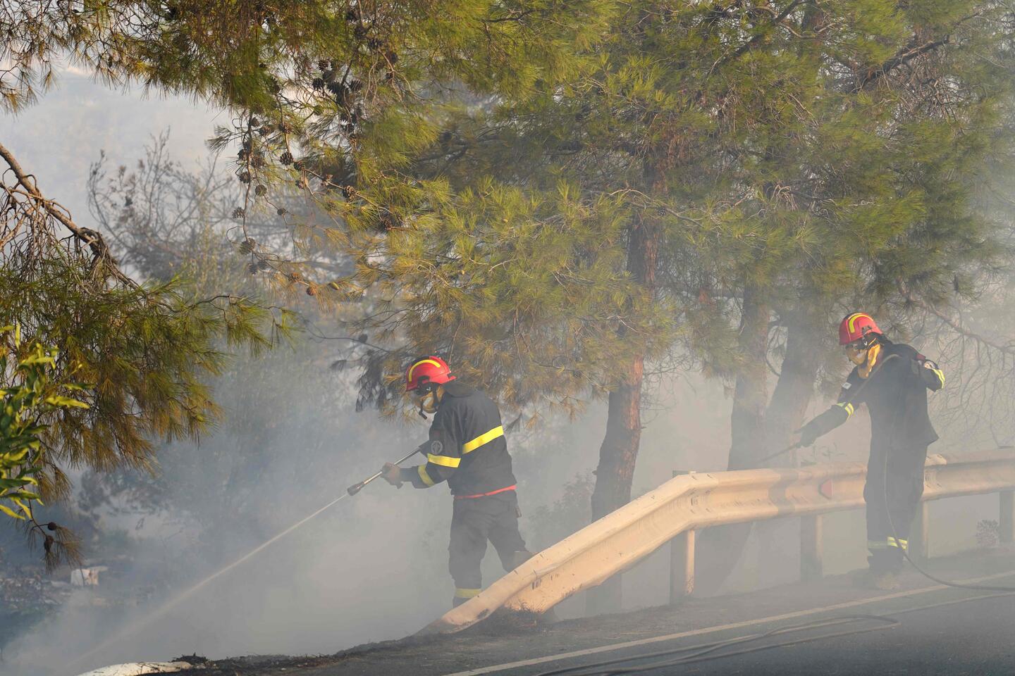 Bosbrand in Cyprus eist twee levens: tal van huizen verwoest, donderdag ...