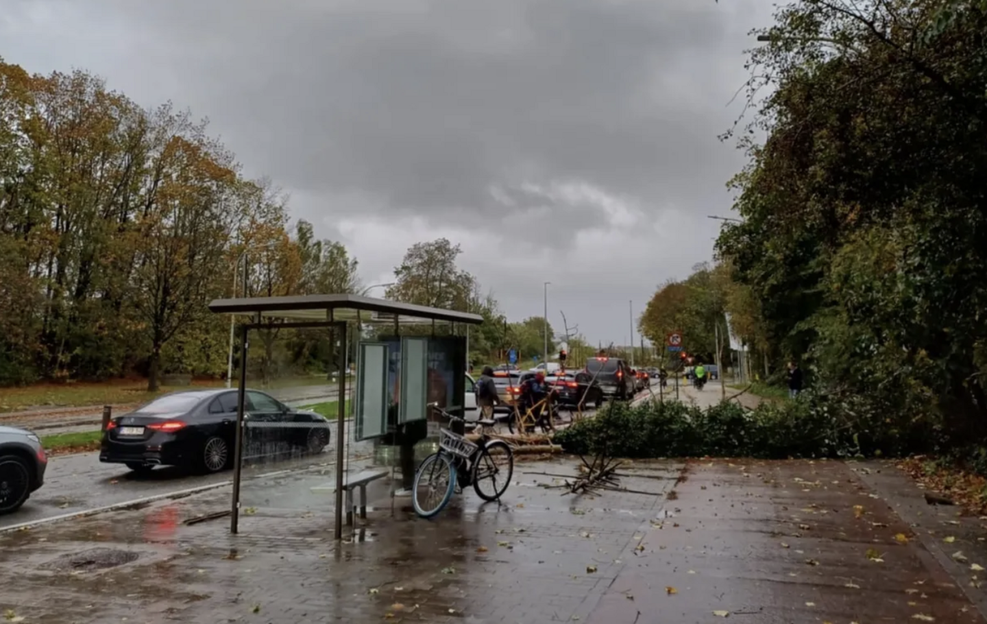OVERZICHT. Hier sloeg storm Benjamin toe in jouw provincie | Nieuwsblad