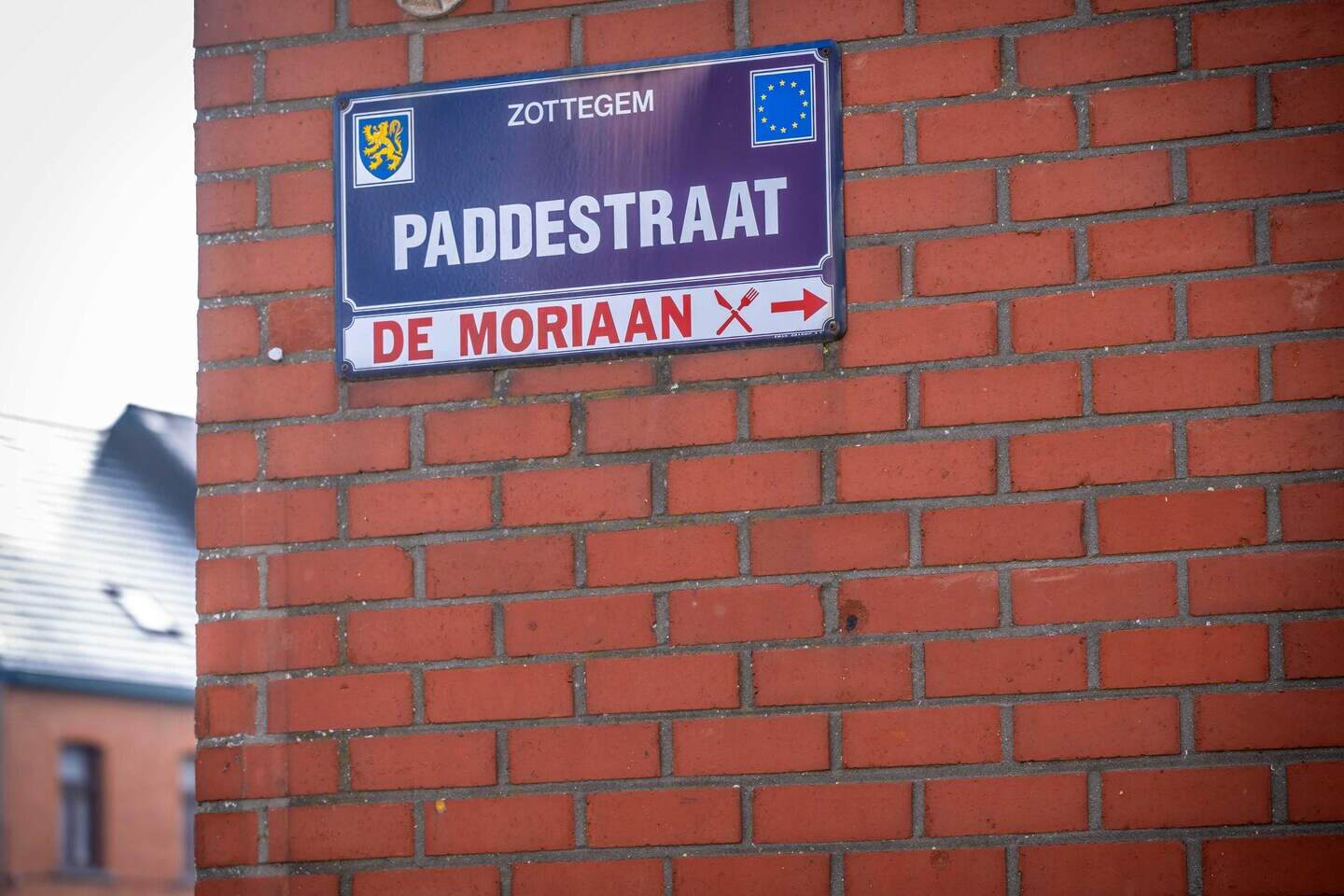 Zij moeten elke dag dokkeren over de Paddestraat, de legendarische ...