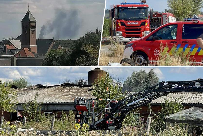 Zware brand verwoest stal van hoeve: “Onze biggen hadden een vreselijke ...
