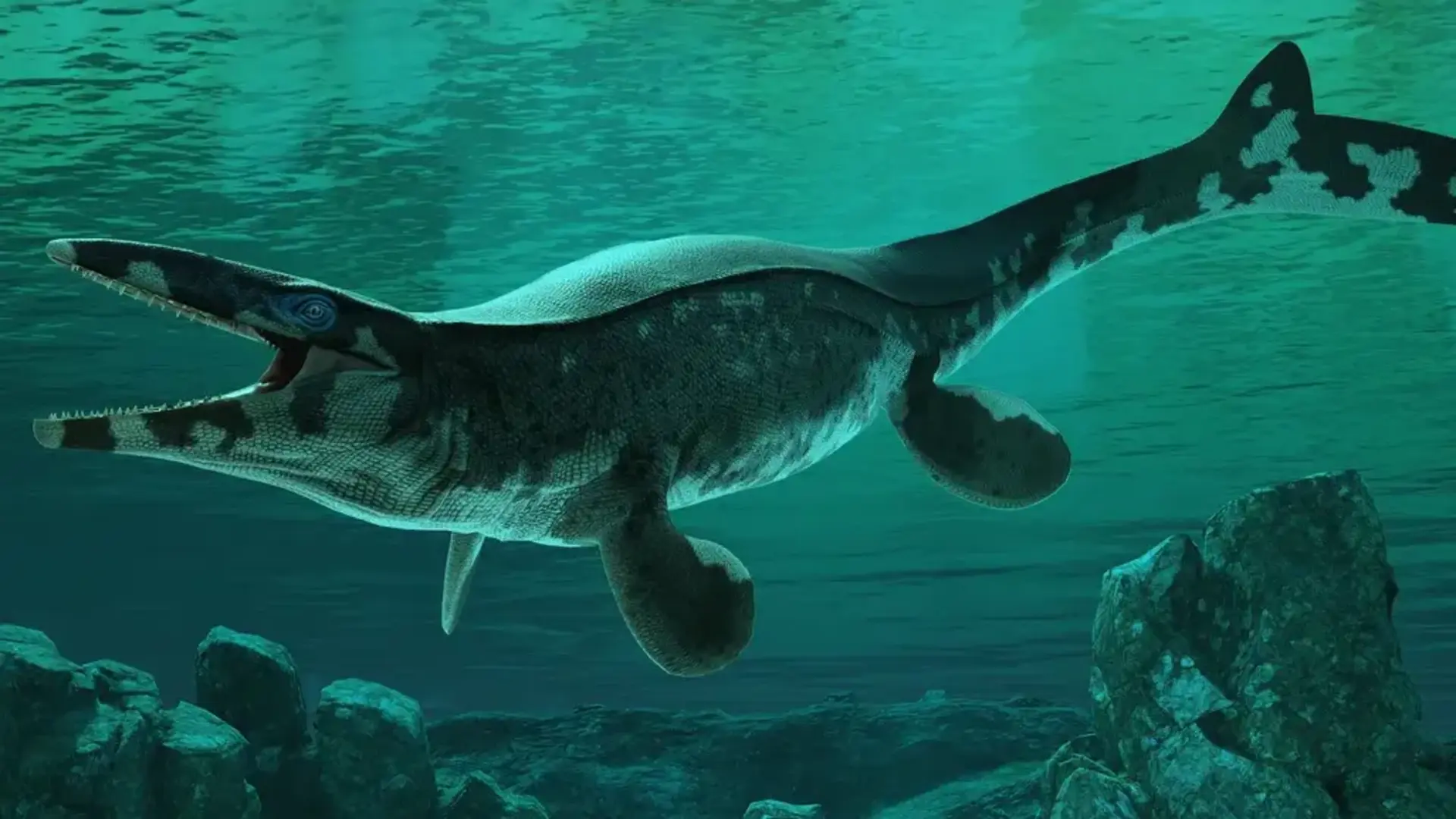 Nieuwe T-Rex van de zee ontdekt: Tylosaurus rex | De Telegraaf