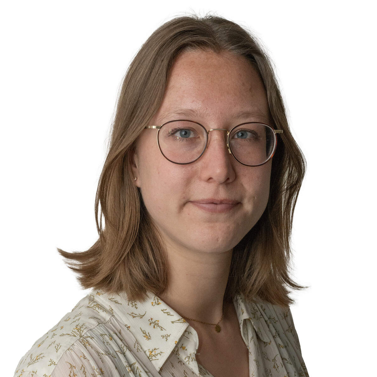 Nieuwe ‘paaltjesoorlog’ breekt uit: tegenstanders van knip halen zaag ...