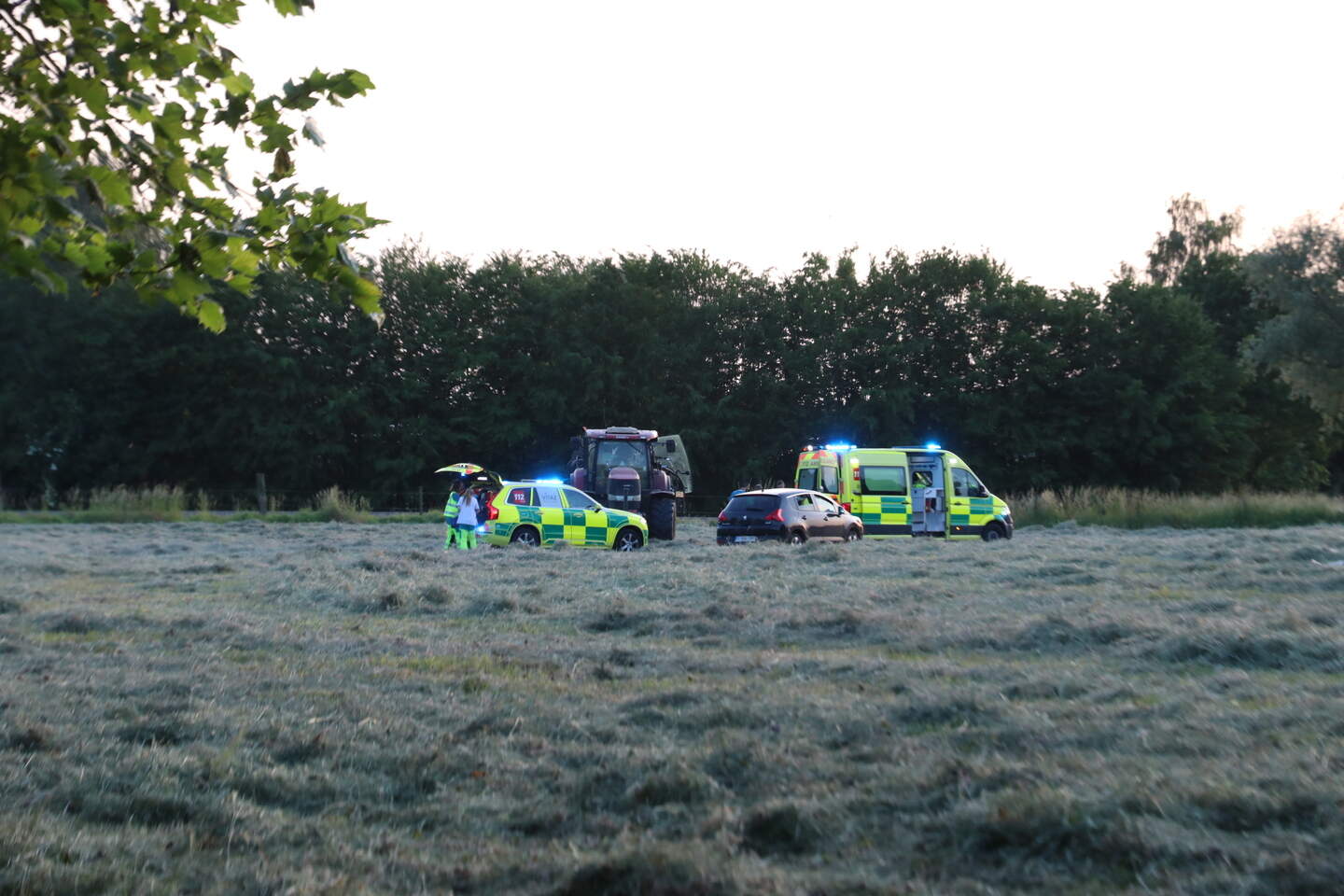 Paard loopt vrouw (56) omver op weide, slachtoffer met zware hoofdwonde ...