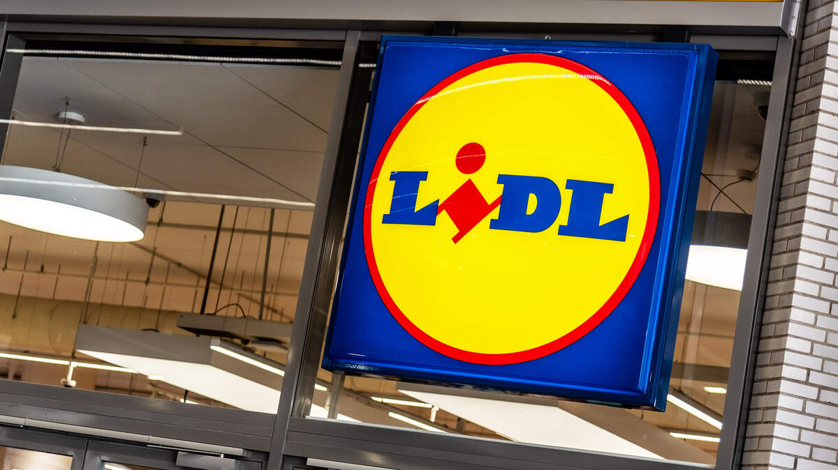 Lidl roept tonijn- en gerooktezalmsalade terug wegens mogelijke ...
