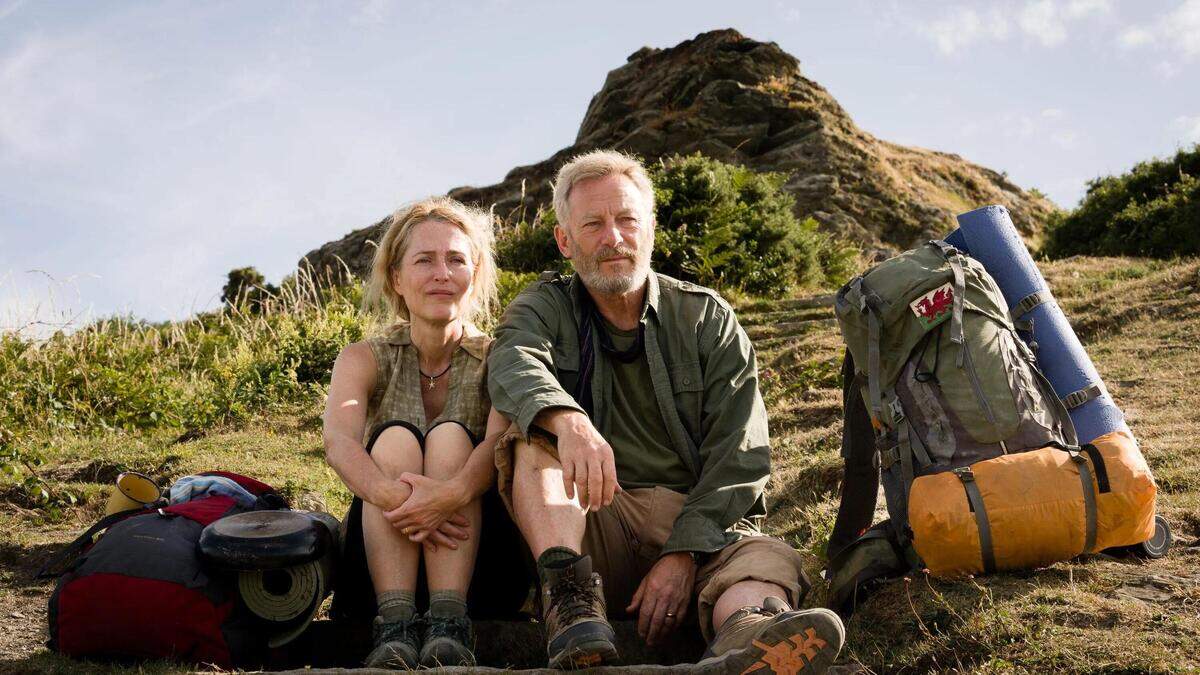 Gillian Anderson voelt zich verraden door auteur ‘The salt path: “Dan ...