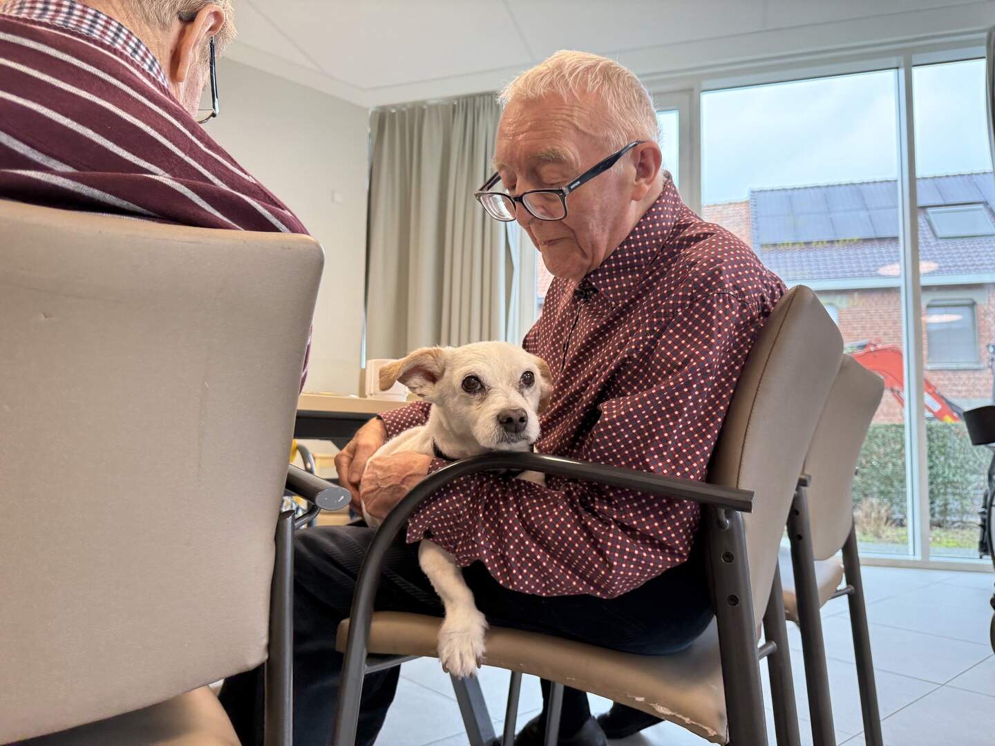 Emotioneel afscheid van Messi, de gedumpte asielhond die iedereens ...
