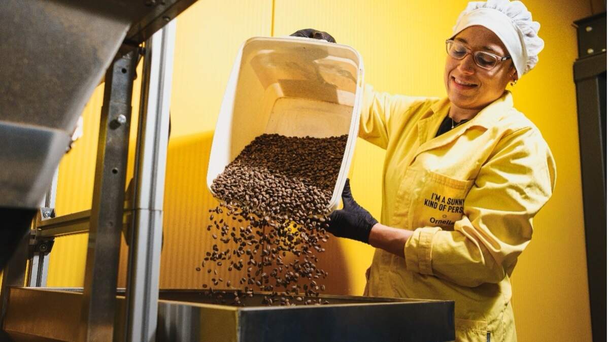 Koffiemerk Ray & Jules opent state-of-the-art zonnebranderij in Leuven ...