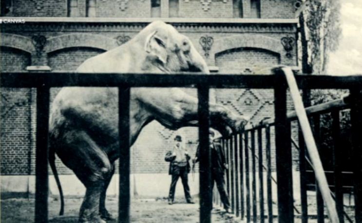 Publiek Geheim over de zoo van Gent | Nieuwsblad