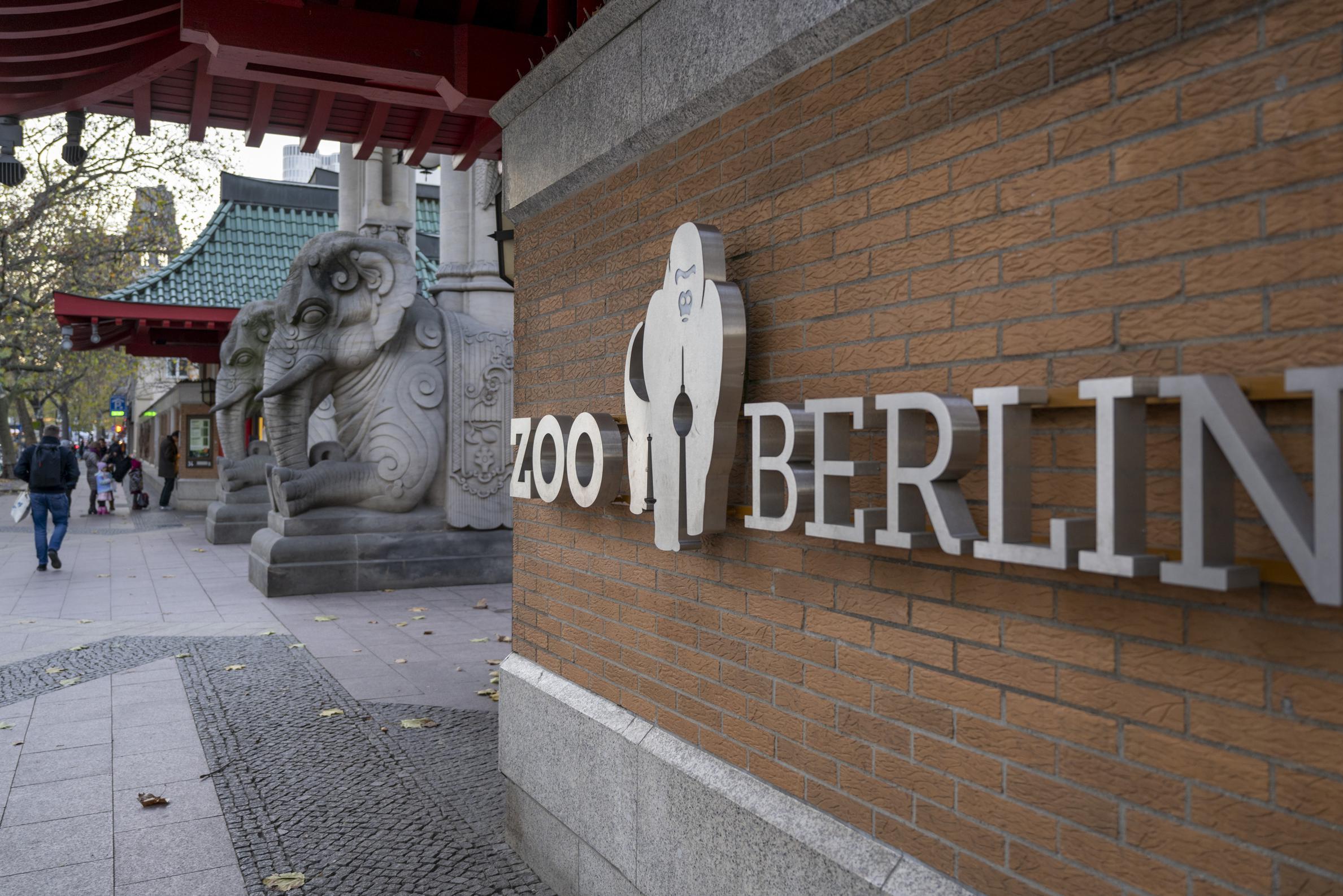 Zoo van Berlijn mogelijk wekenlang gesloten door vogelgriep | Nieuwsblad