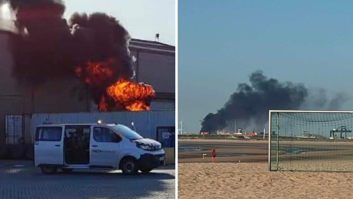 Container met autobanden vat vuur in Zeebrugse haven: “Personeel ...