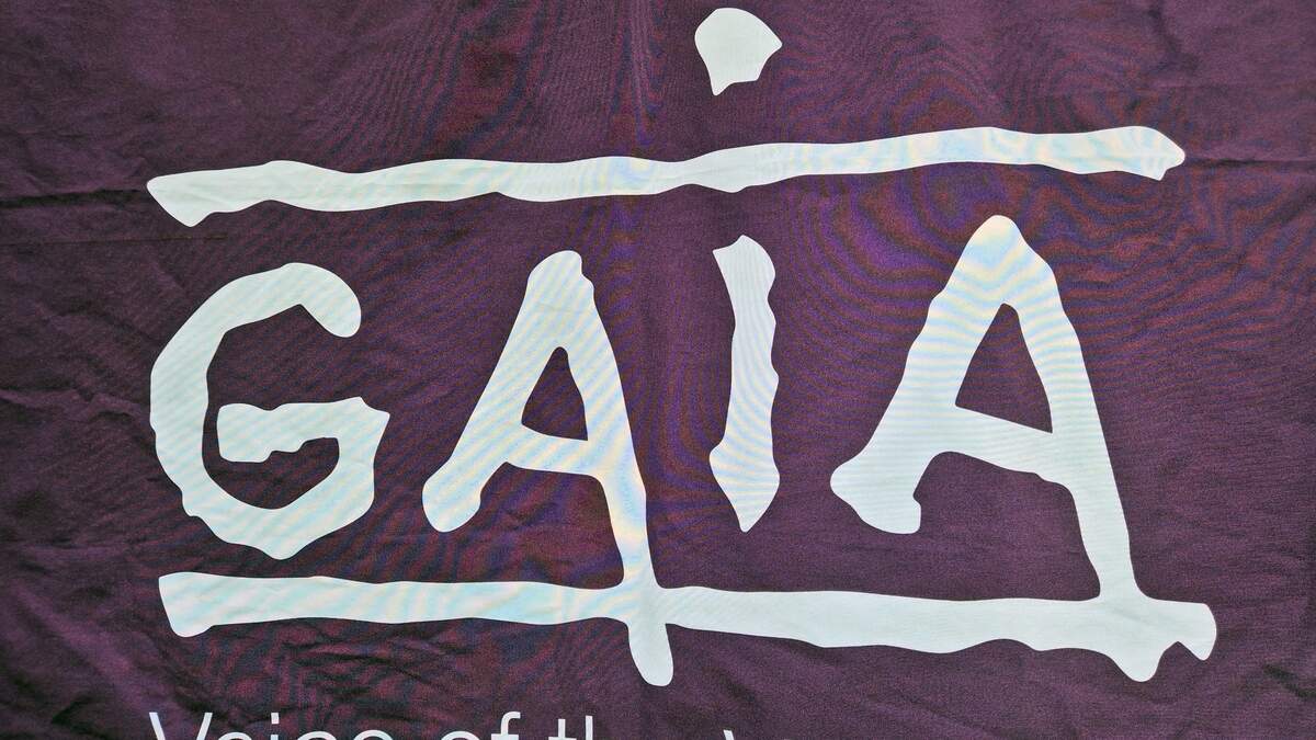 Gaia dient klacht in tegen slachthuis van Aat voor “gruwelijke ...