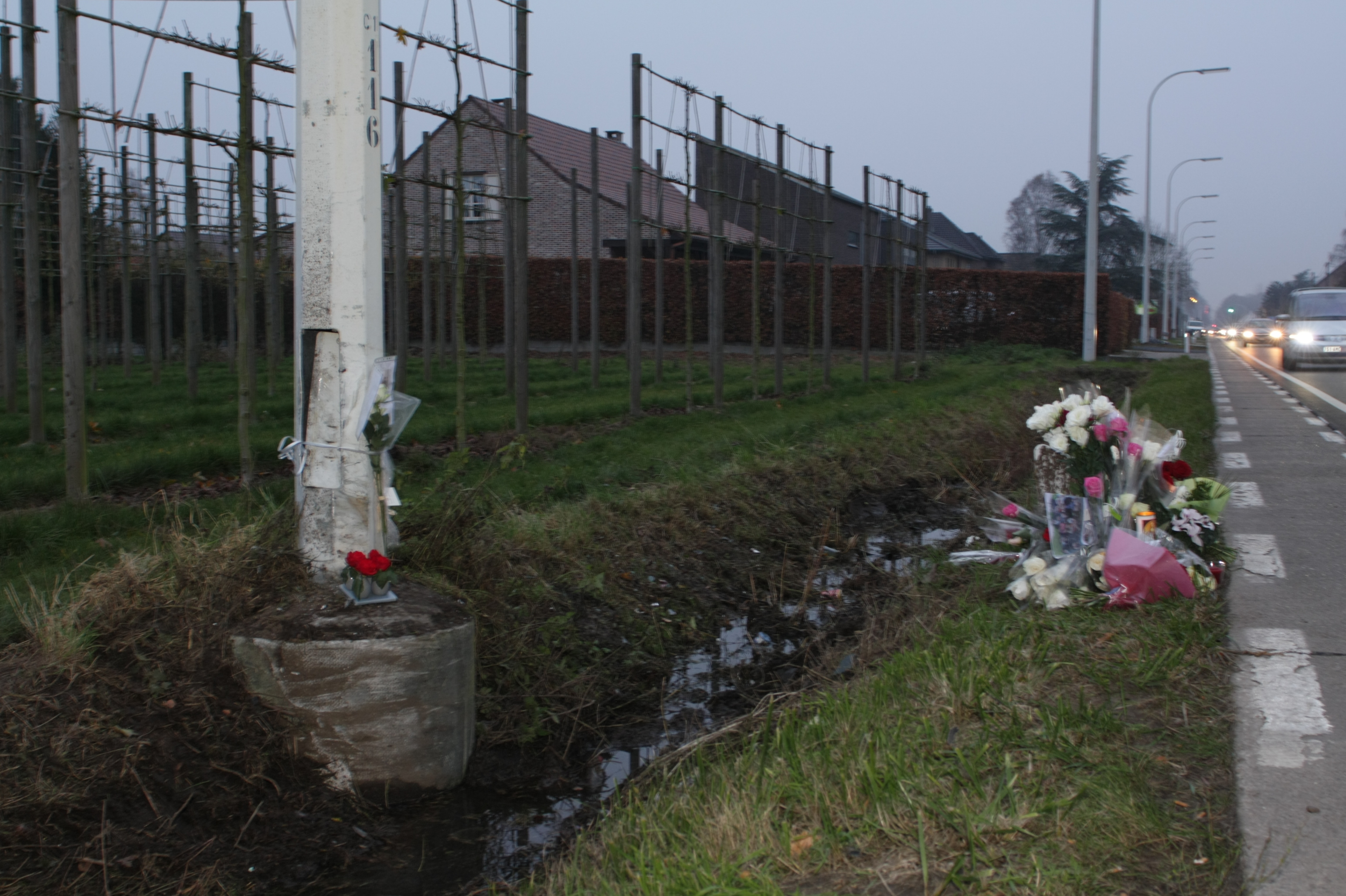 Schriek treurt om onfortuinlijke Alec Van Dyck(19) | Nieuwsblad