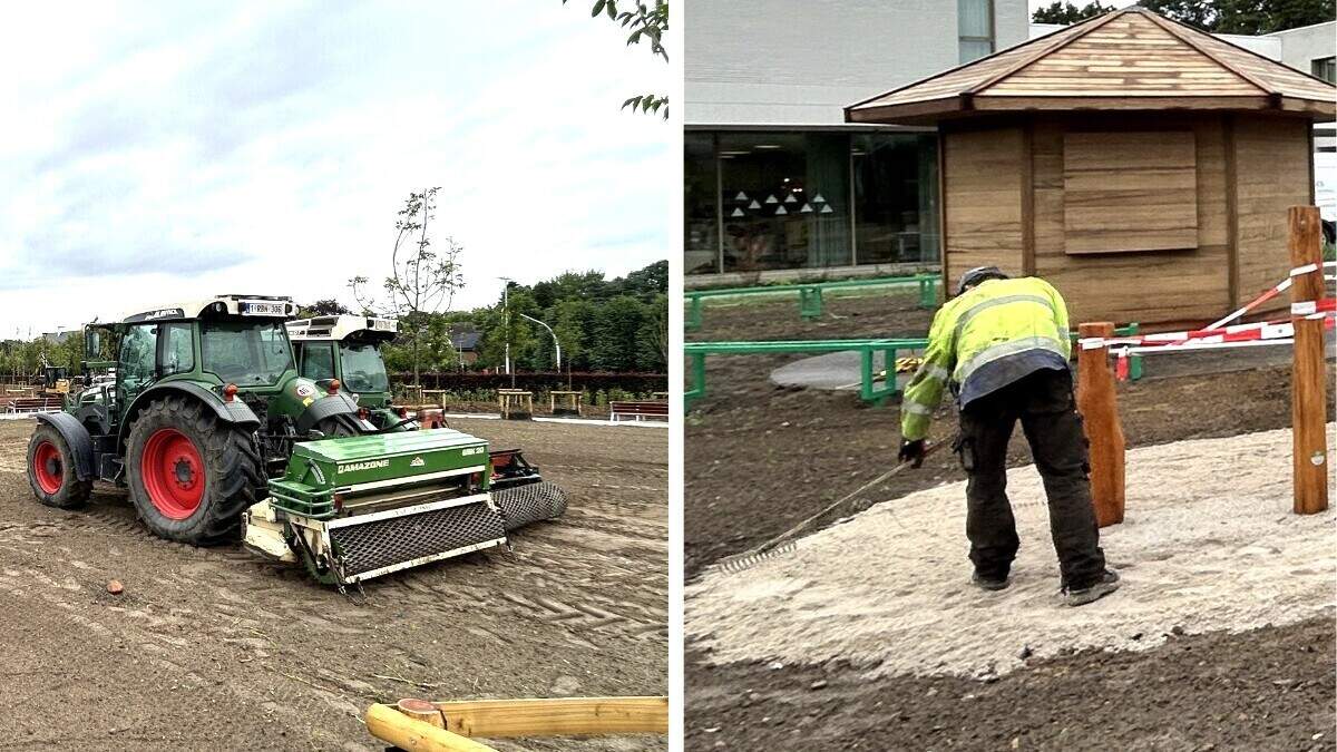 Nieuw stadspark ’t Huis geopend: ontmoetingsplaats voor jong en oud ...