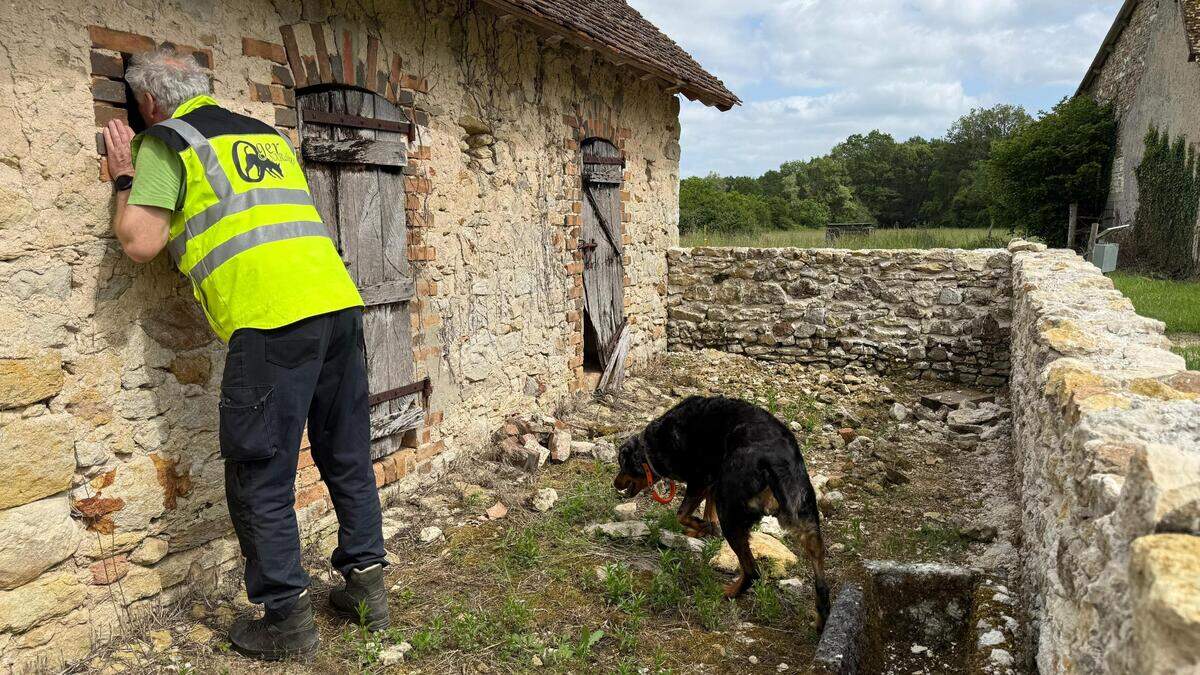 “We waren hun laatste hoop”: vermiste Belg (62) na acht dagen levend ...