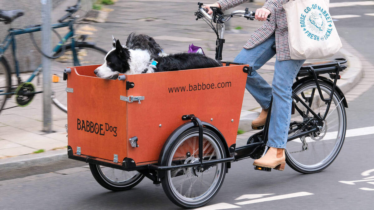 Schuldeisers nemen fabrikant van Batavus- en Babboe-fietsen over ...