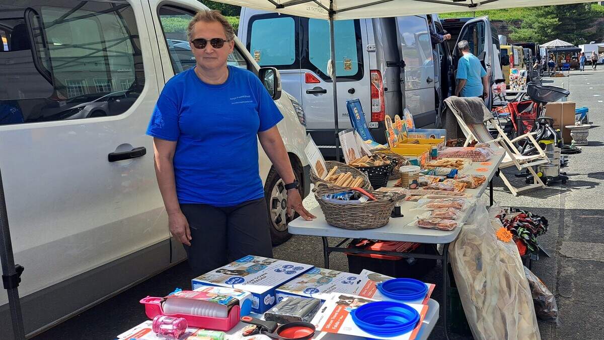 Rommelmarkt voor het eerst op citadel in Diest: “Standen hier beter ...