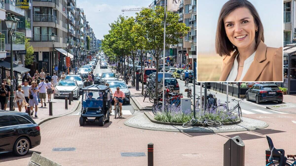 Ondanks Franse agenten en rode ‘parkeerstickers’ vraagt oppositie ...