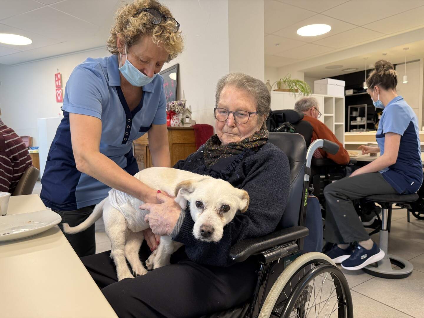Emotioneel afscheid van Messi, de gedumpte asielhond die iedereens ...
