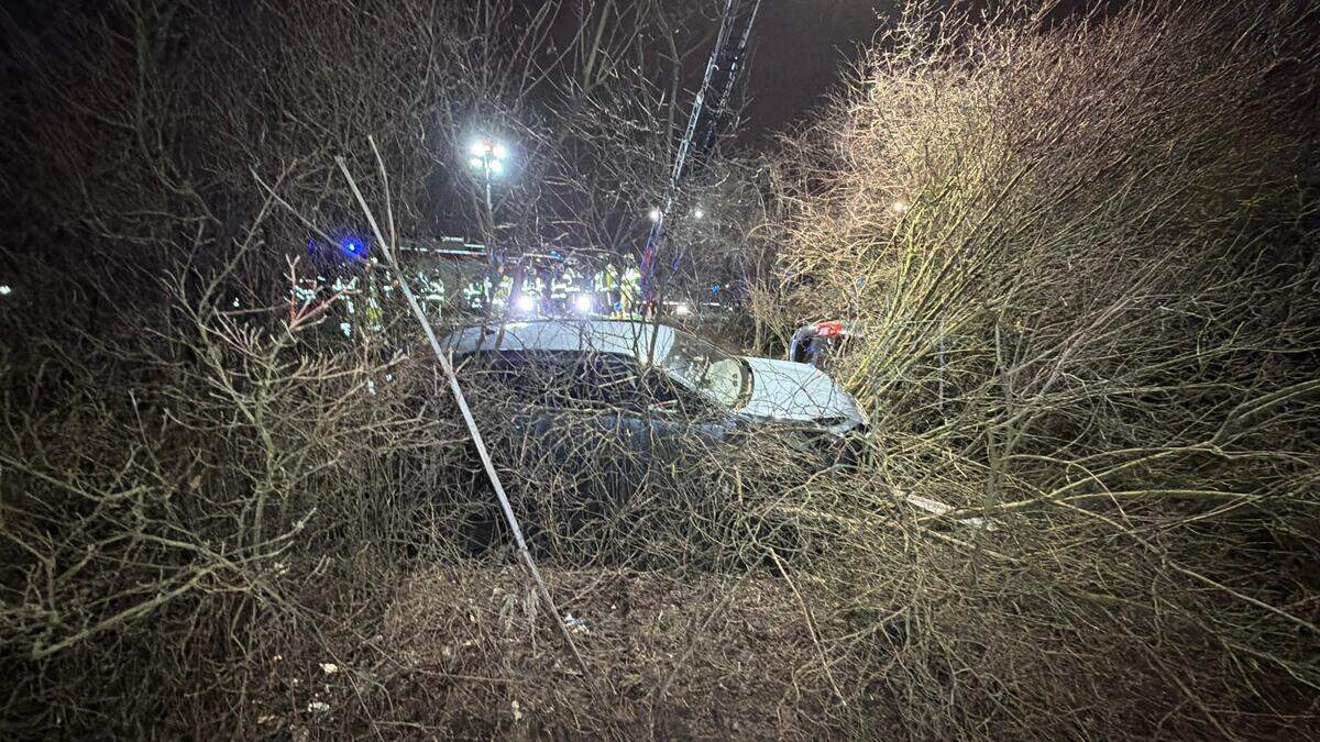 Twee wagens belanden in de gracht naast A12 ter hoogte van Hoevenen ...