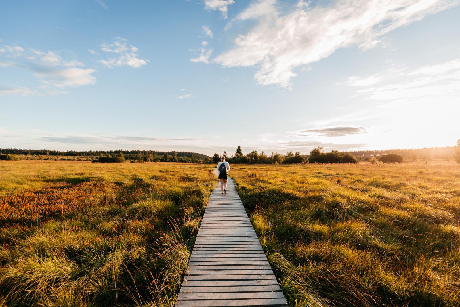 5x wandelen over vlonderpaden: van de hoogste punt tot het stilste ...