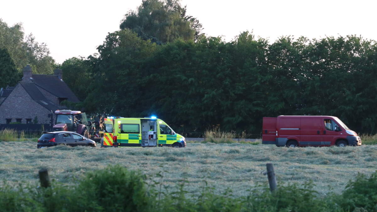Paard loopt vrouw (56) omver op weide, slachtoffer met zware hoofdwonde ...