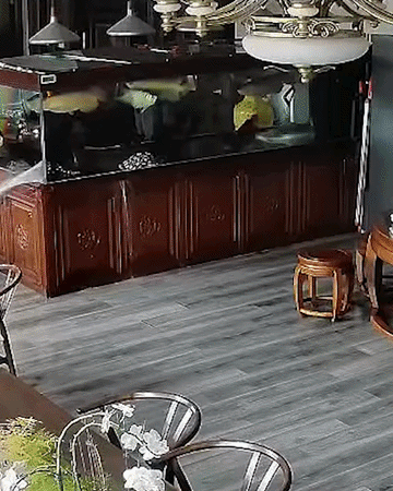 Beveiligingscamera filmt moment waarop aquarium in kantoor barst en ...